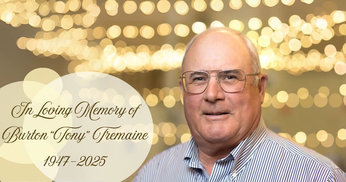 Our Programs – The Learning Alliance